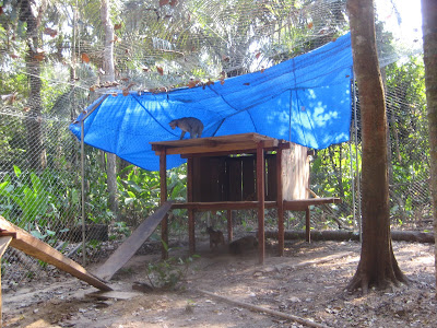 Parque Ambue Ari -- Inti Wara Yassi