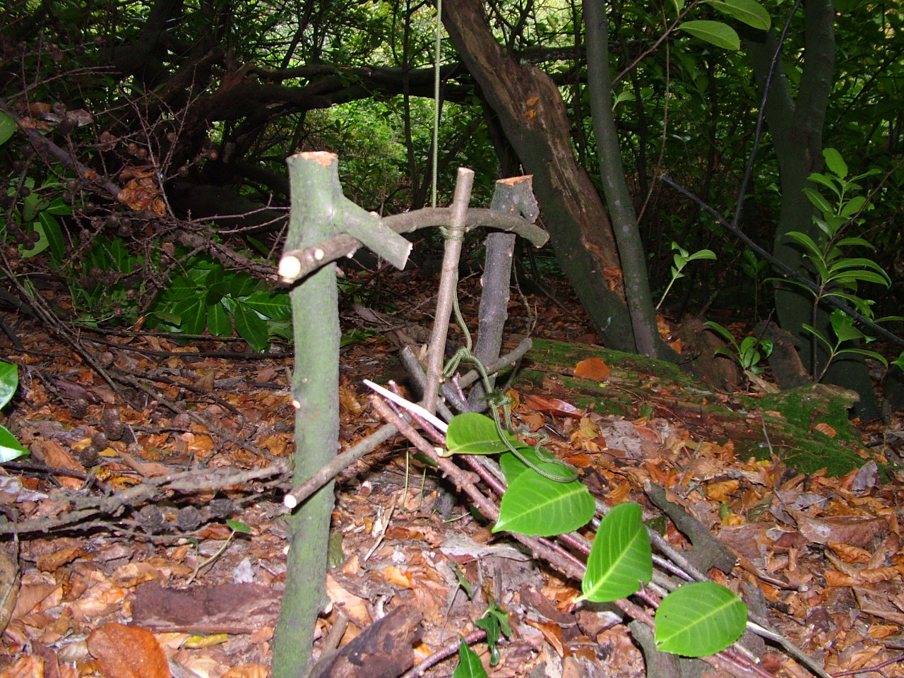 Belfast Bushcraft Blog: Platform trap.