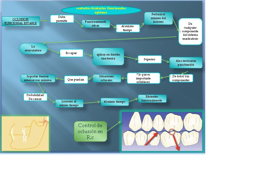 anaya-iveth.: CRITERIOS DE OCLUSION FUNCIONAL OPTIMA
