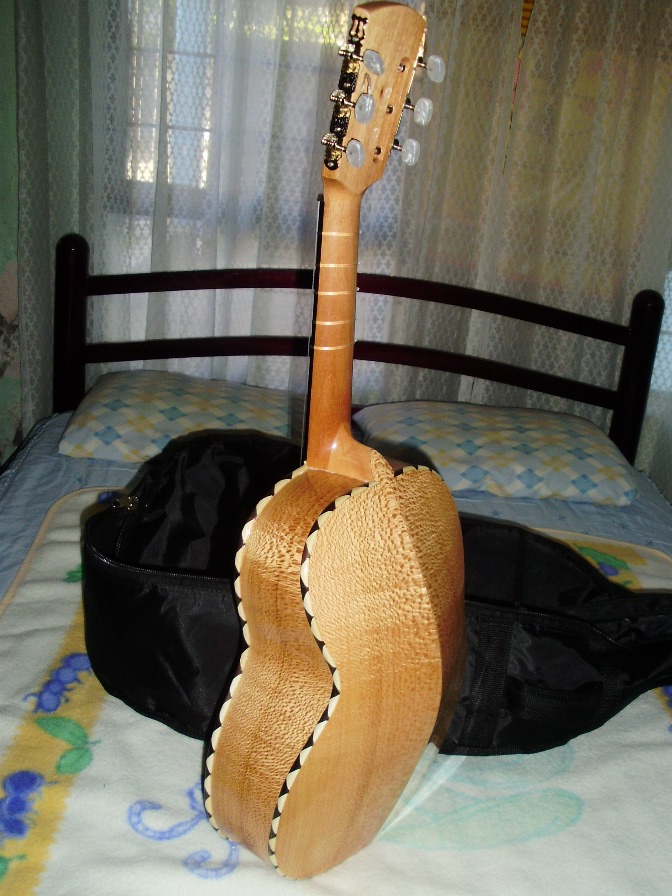 VIHUELAS: VIHUELAS PROFESIONALES