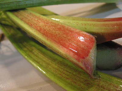 debesijos: Keksas su rabarbarais