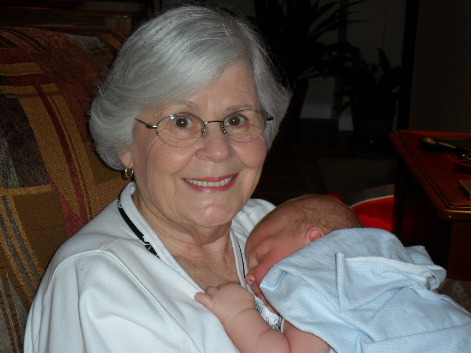 Wehmeier Family: Trip to St. Louis and More