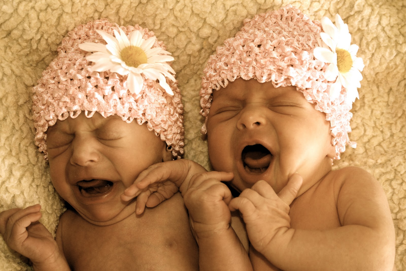 Jessica Mortensen Photography