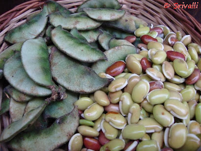 Ira Yummy Food: Anapakaya Vankaya Masala Kura Recipe ~ Hyacinth Bean ...