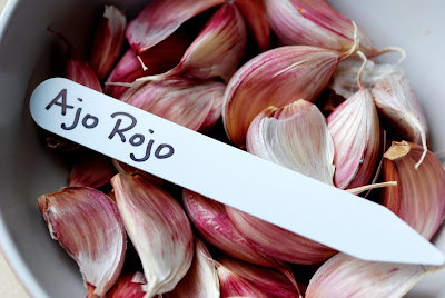 Vegetable Matter: Ajo Rojo Creole Garlic