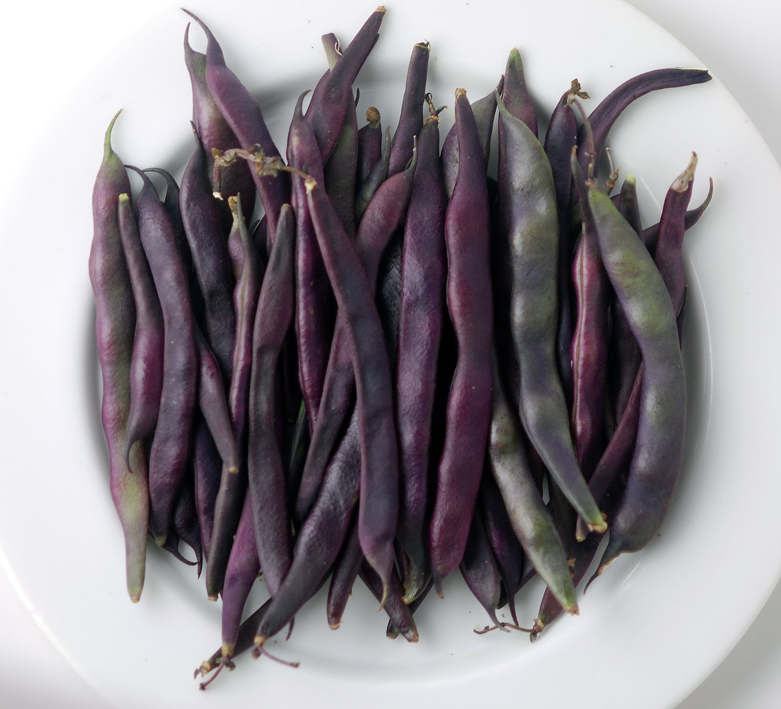Vegetable Matter: Cosse Violette Purple Beans with Sage Salt and Lemon ...