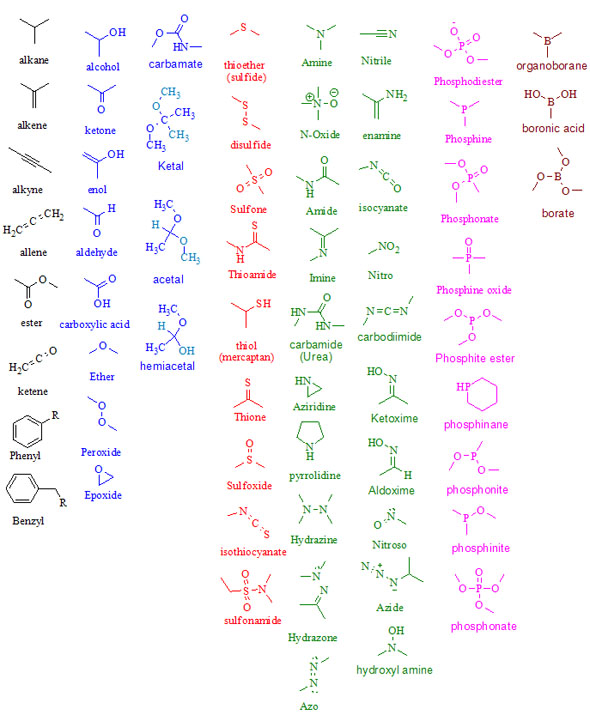 Chemistry by Turtle: Organic Chemistry : Introduction 1