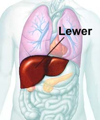 Boererate.com: Lewer