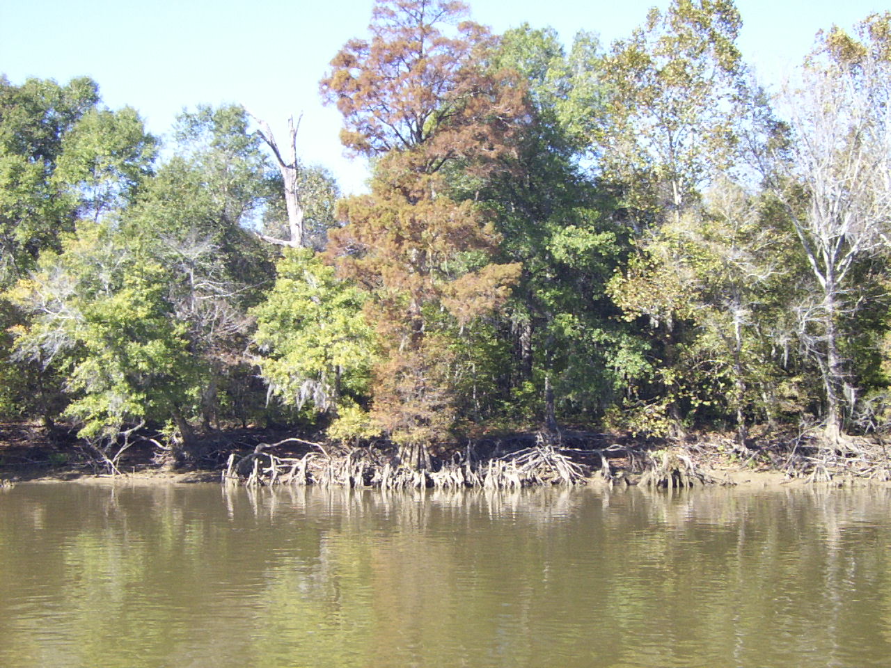 Q's End: Licence to Travel: The Real South, Big Bayou Canot