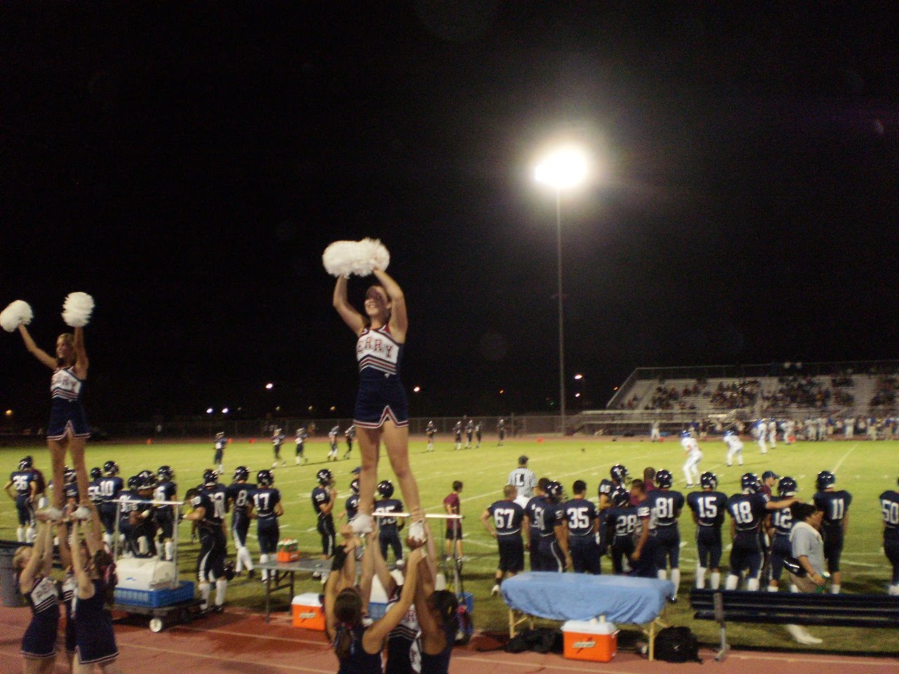 The Faldmo Fantastical