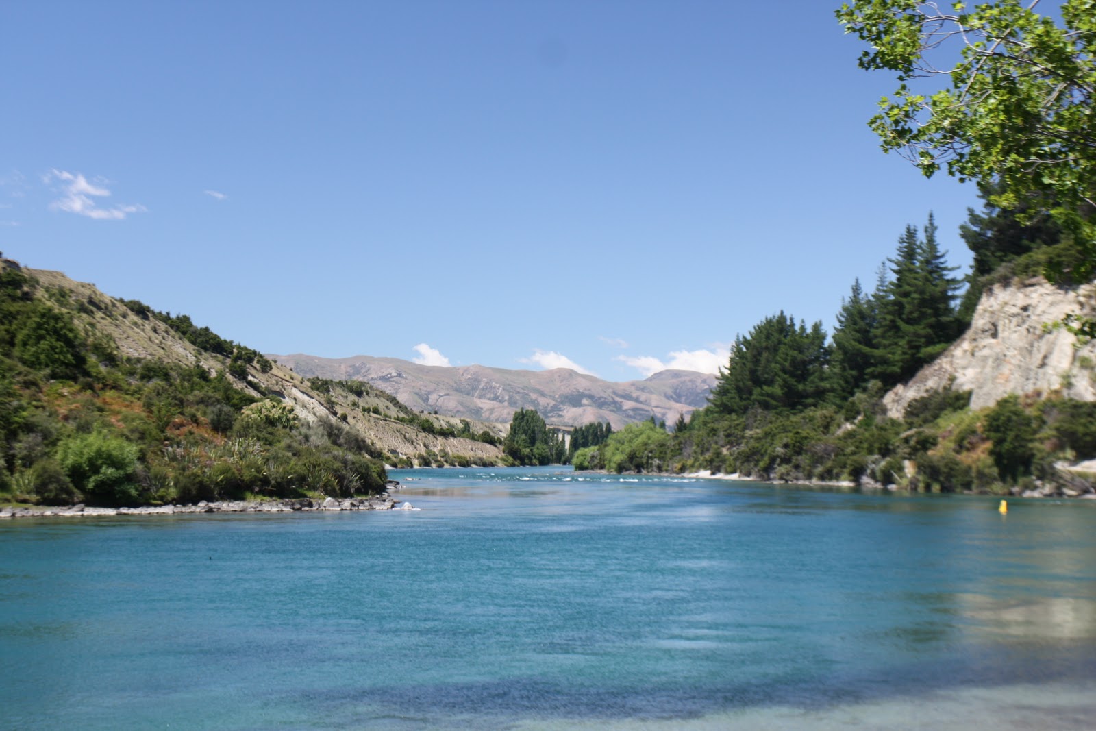 THE KIWI KRONICLES: Day 67 & 68 Wanaka, Lake Wanaka Outlet Walk