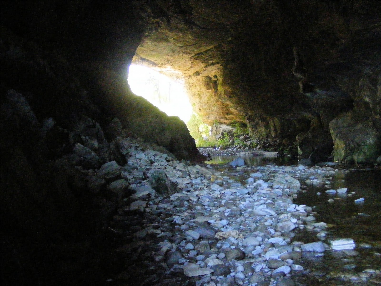THE KIWI KRONICLES: Day 60 Scott's Lookout, Oparara Arch, Moria Gate ...