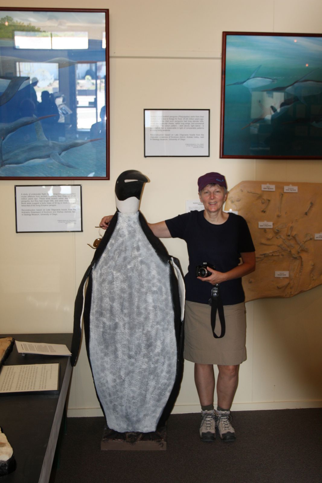 THE KIWI KRONICLES: Day 125 Waitaki Valley, Vanished World Fossil Trail ...