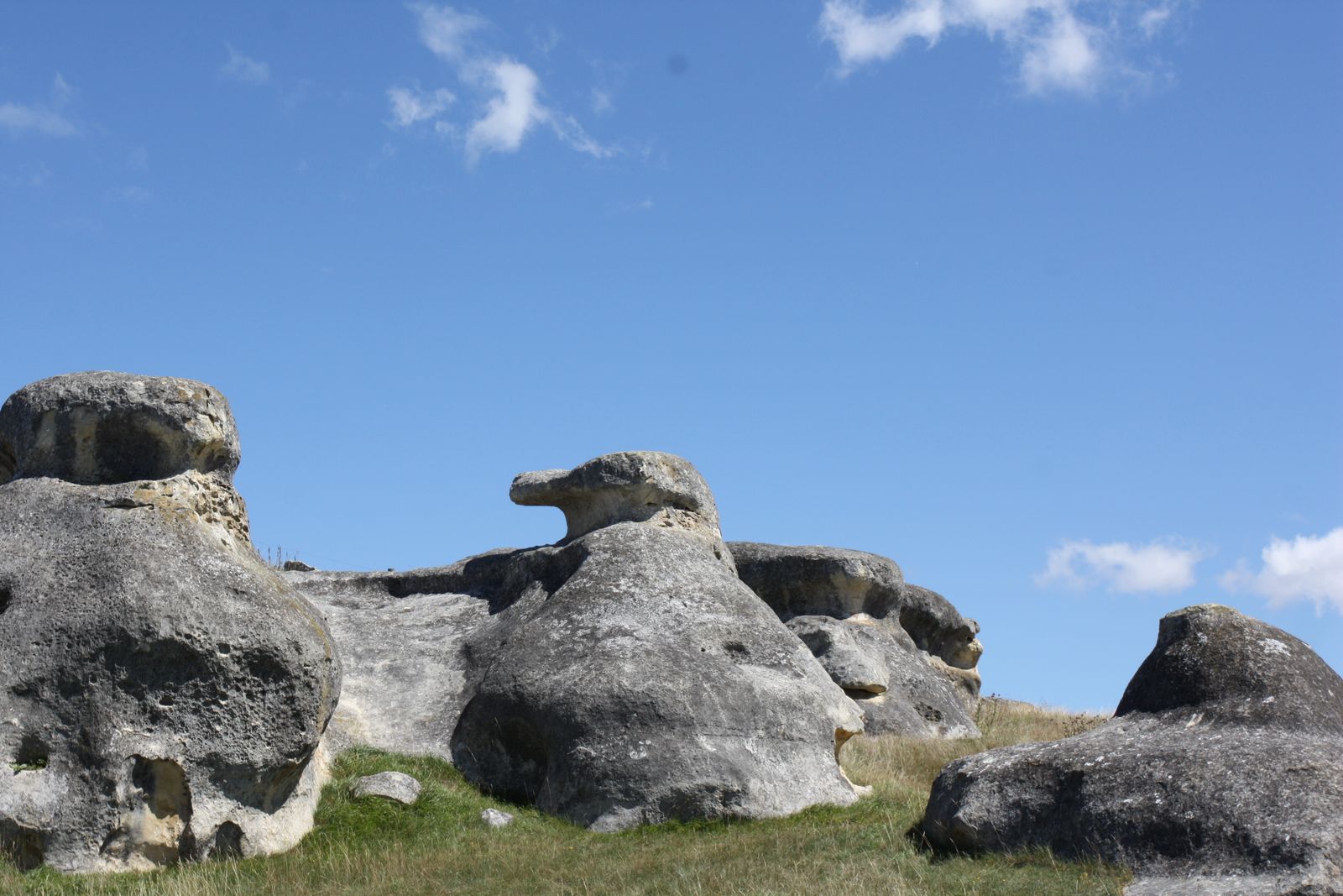 THE KIWI KRONICLES: Day 125 Waitaki Valley, Vanished World Fossil Trail ...
