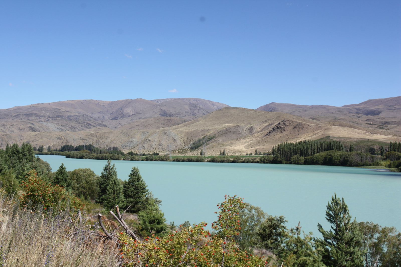 THE KIWI KRONICLES: Day 125 Waitaki Valley, Vanished World Fossil Trail ...