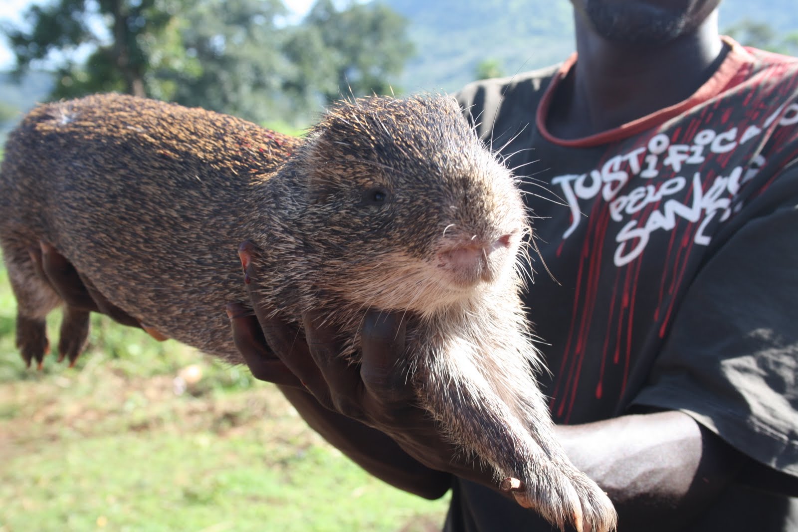 YWAM Arua: DTS outreach Part 2...more stories from Lobone, Southern Sudan