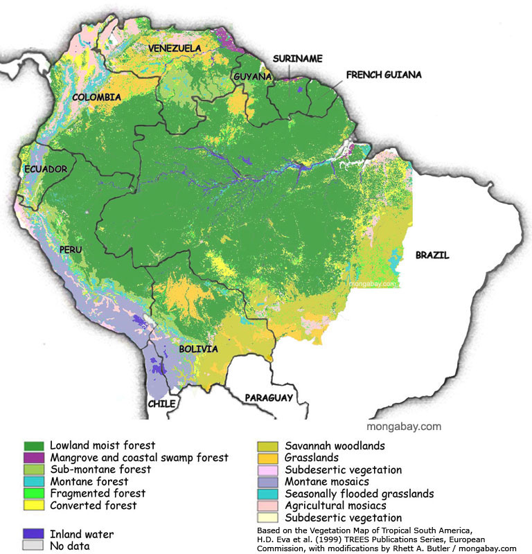 La Guayana Esequiba: Selva Amazónica: último recurso natural para el mundo