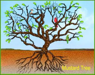 All the good: Mustard Seed