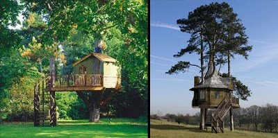Amazing Amazon Tree Houses ~ UNUSUAL THINGs