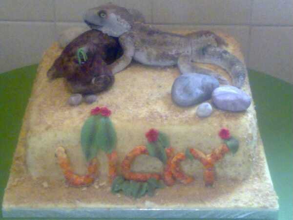 Elizabeth May: Bearded Dragon 30th Birthday Cake