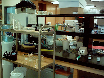 science visuals: Laboratory - Backroom II