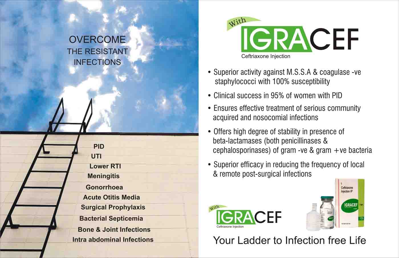 GLORY ASTER DESIGNS: Online Pharmaceutical Visual aid Designs