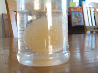 Science Matters: Osmosis: Egg-speriment