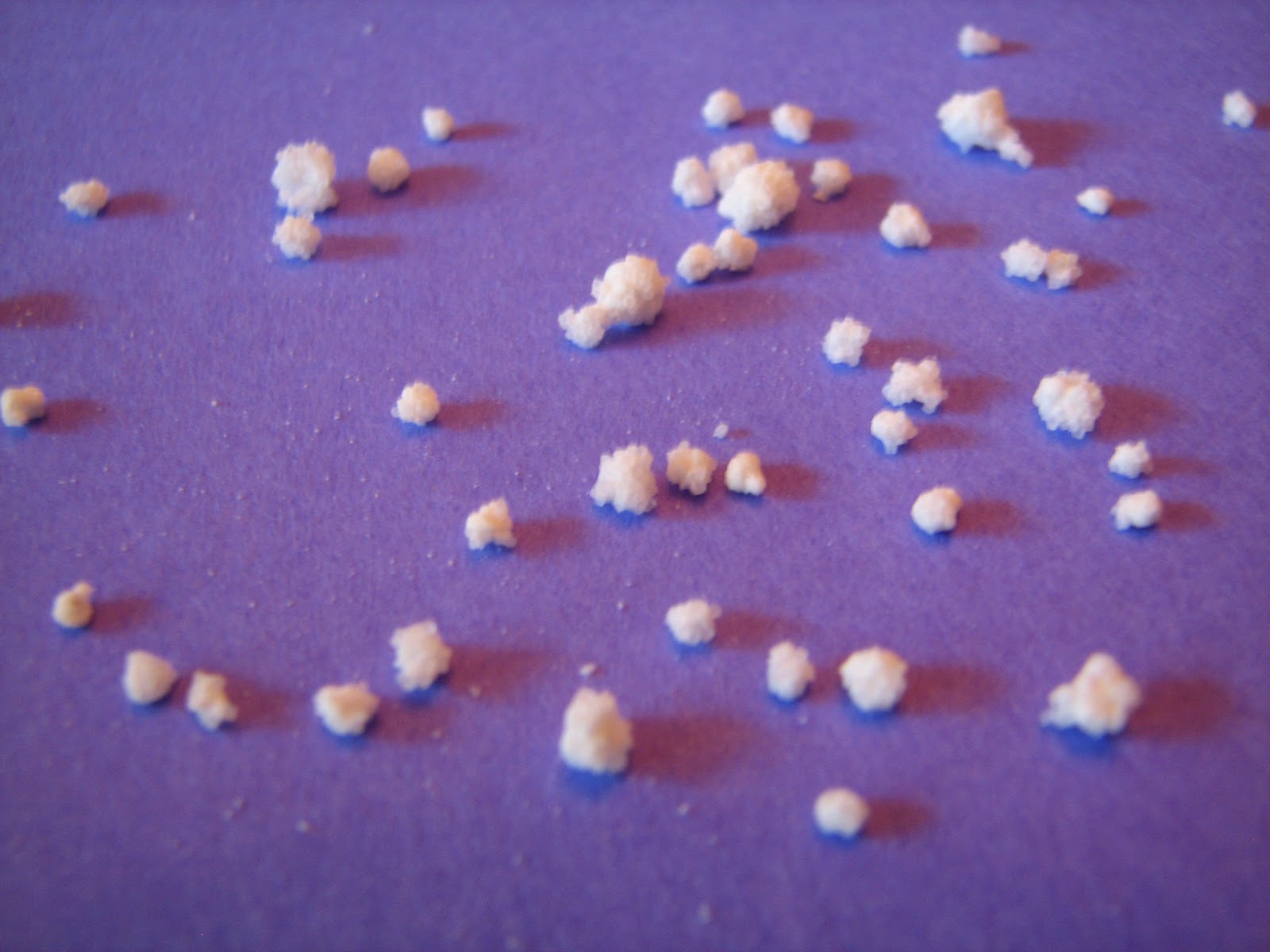 Science Matters: Catch a Raindrop