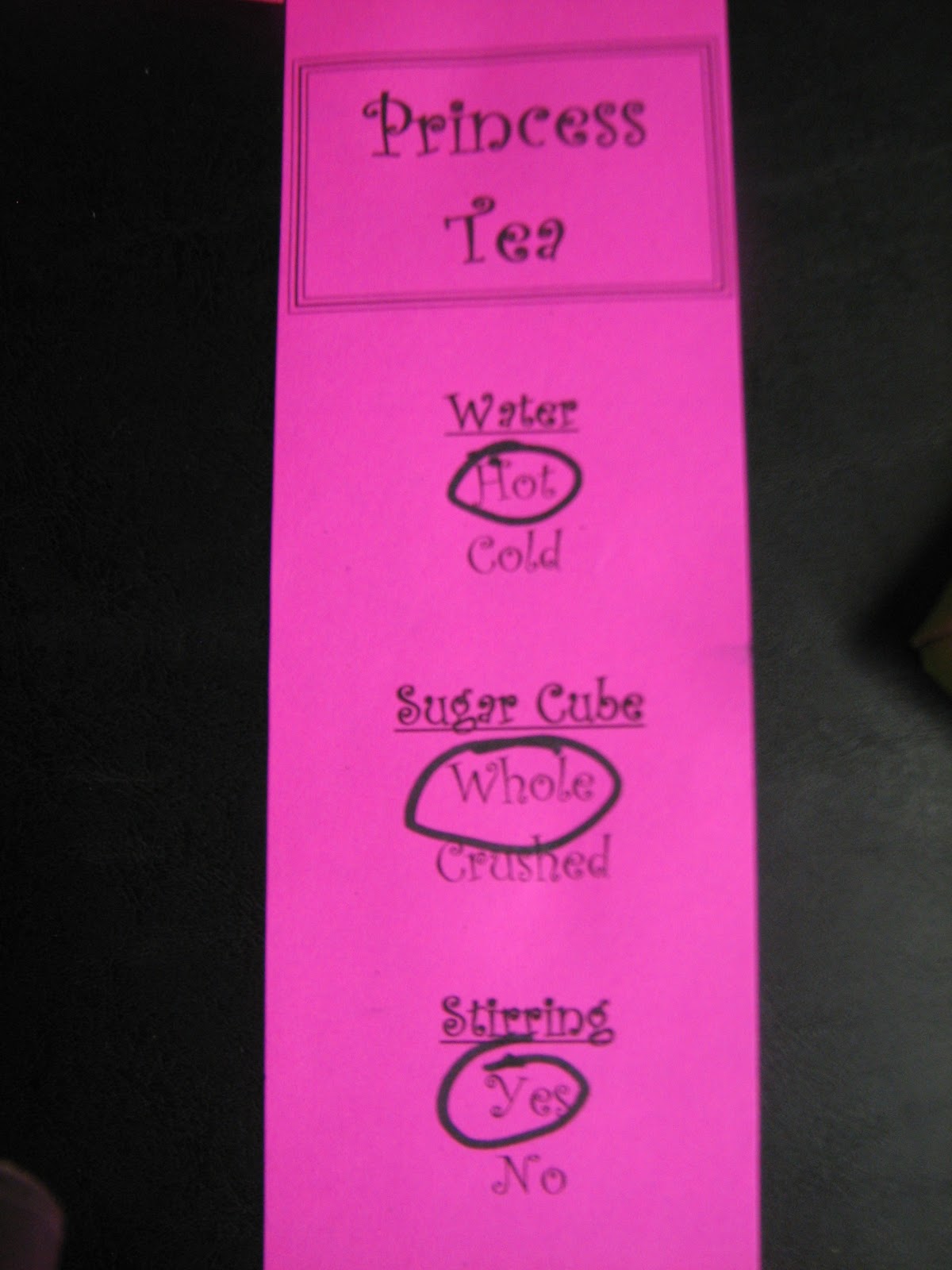 Science Matters: A Science Party Fit for a Princess