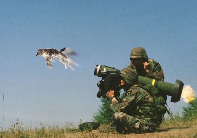 Are We Lumberjacks?: WMD