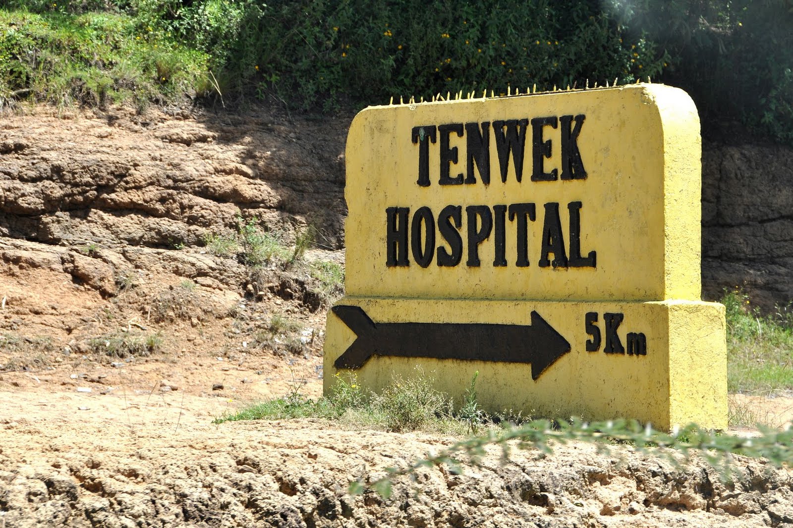 The Tenwek Phenomenon: Around Tenwek Hospital ...
