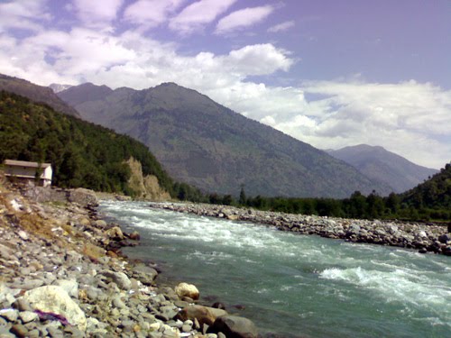 SURVIVAL: Lesson 6- my kin - River Vyas