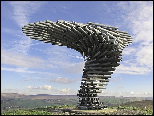 Life in general: The 'Singing Ringing Tree'