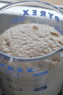 Cooking The Amazing: YEAST BREAD