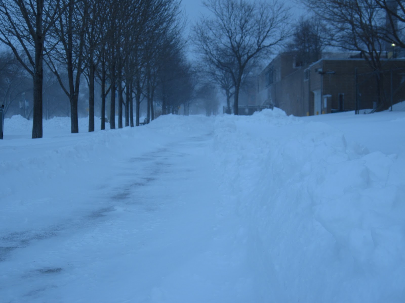 Not all who wander are lost...: Snowmageddon 2011