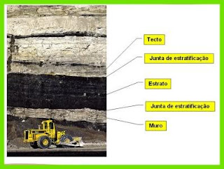 Da Biologia á Geologia: Formação das Rochas Sedimentares