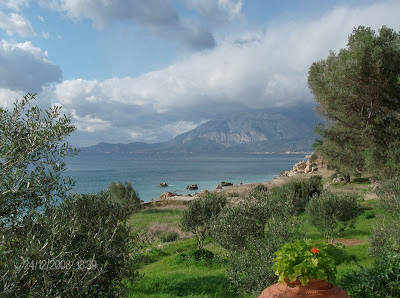 ΑΙΩΝΟΒΙΑ ΕΛΑΙΟΔΕΝΔΡΑ & ΘΑΛΑΣΣΙΝΑ ΤΟΠΙΑ ΤΗΣ ΣΑΜΟΥ: ΘΑΛΑΣΣΙΝΑ ΤΟΠΙΑ (ΜΙΑ ...