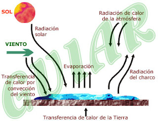SACUDO PA NO BARRER: ¿como se produce la evaporacion?