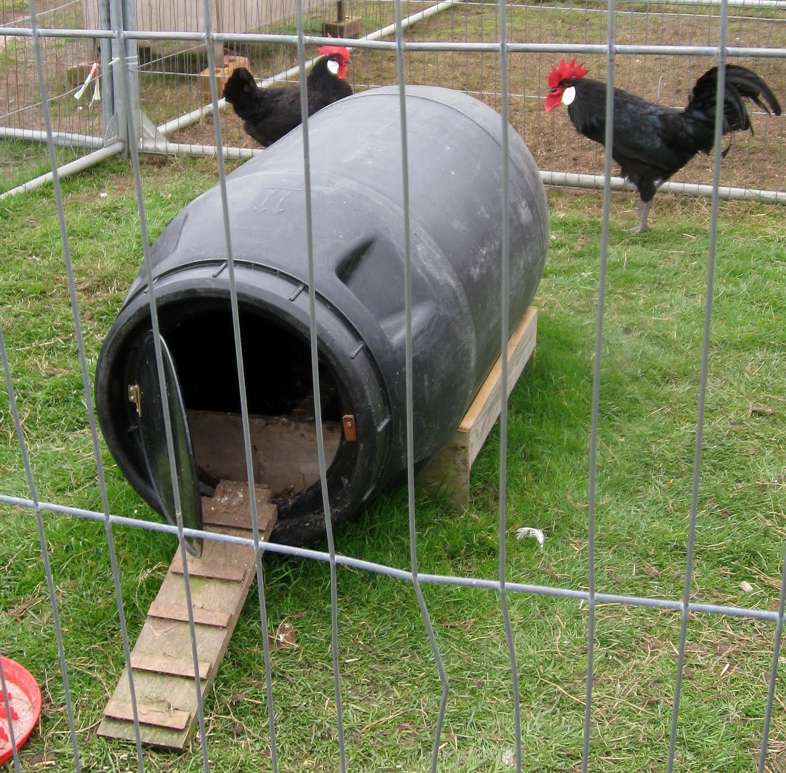 The Chicken Daily: Interesting Chicken House
