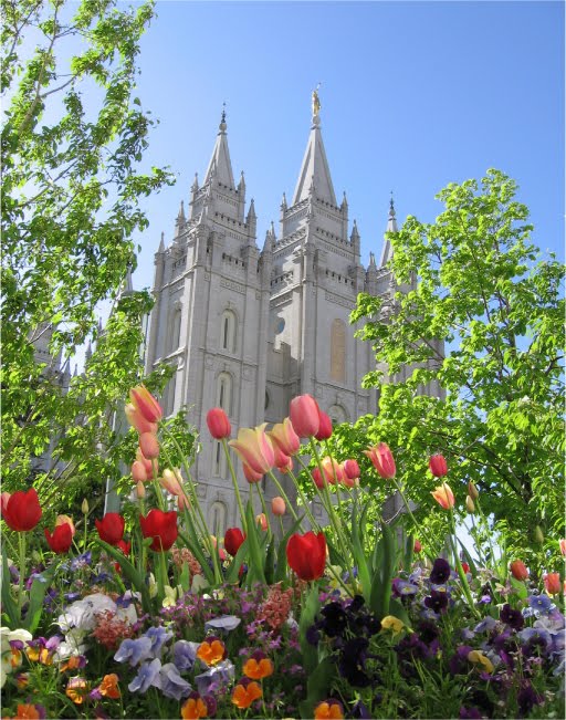 2010 NGS Family History Conference - Salt Lake City, Utah: Traveling to ...