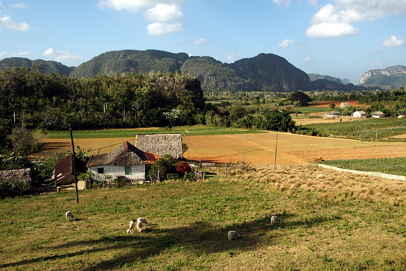 NUESTRA CUBA SU HISTORIA CULTURA,DEPORTE Y MUSICA RESCATANDO NUESTRAS ...
