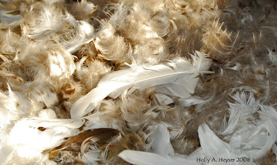 Feeling down? : r/pics