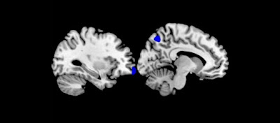 America's Liberal Progressive Idea: The God Spot, Biology, Evolution ...