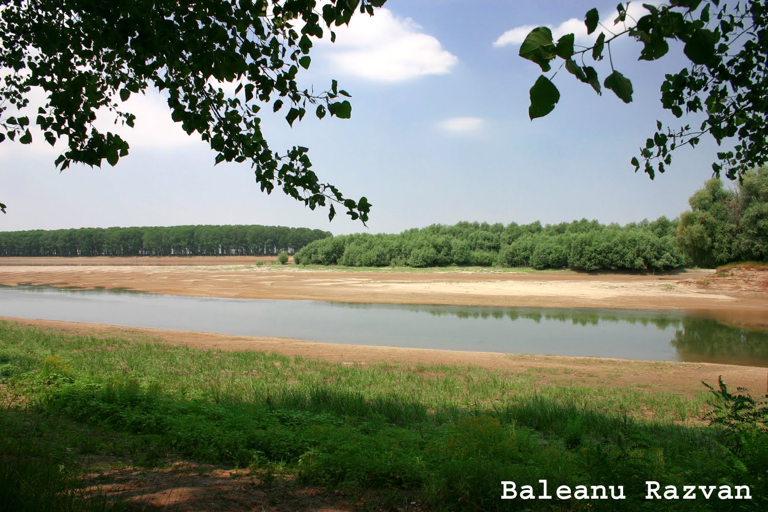 Pasiunea Pescuitului: Fluviul Dunarea