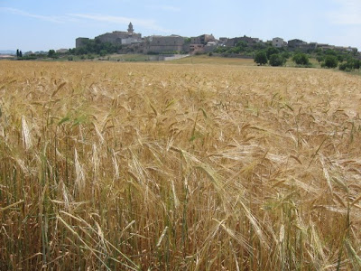 Elena Durán, Fotografía: TRIGAL