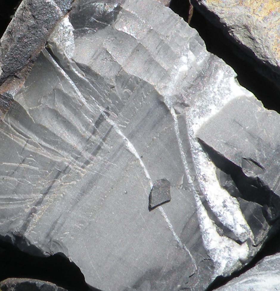 Elfshot: Newfoundland Chert Photos