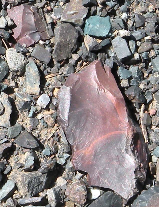 Elfshot: Newfoundland Chert Photos