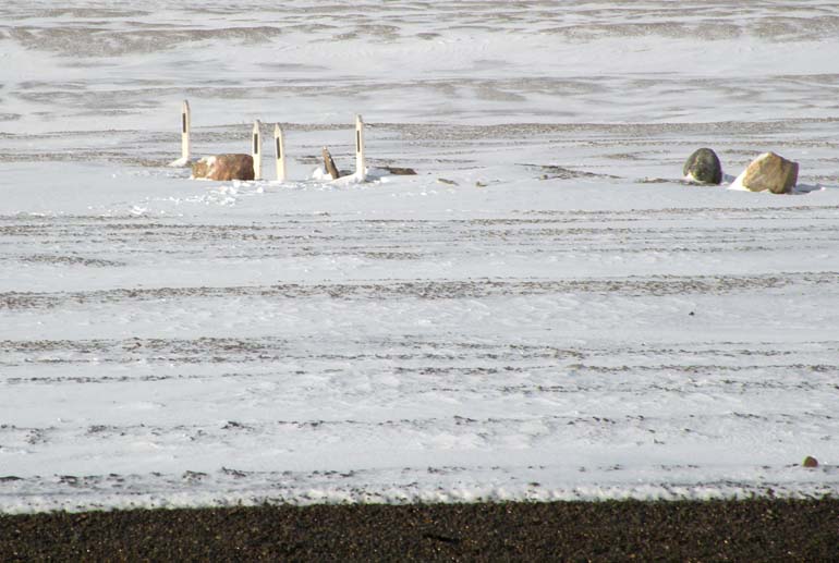 Elfshot: Beechey Island, Nunavut