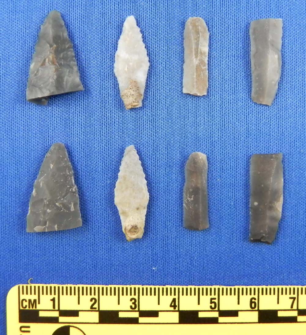 Elfshot: Completing the first Quttinirpaaq Reproductions