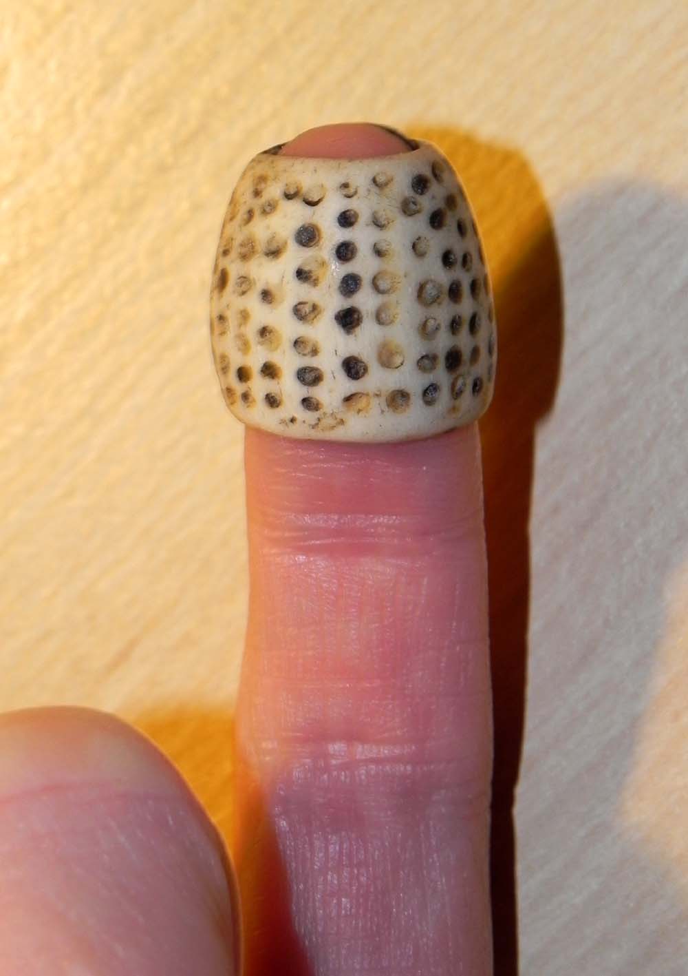 Elfshot: Bone Thimble and Antler Netting Shuttle